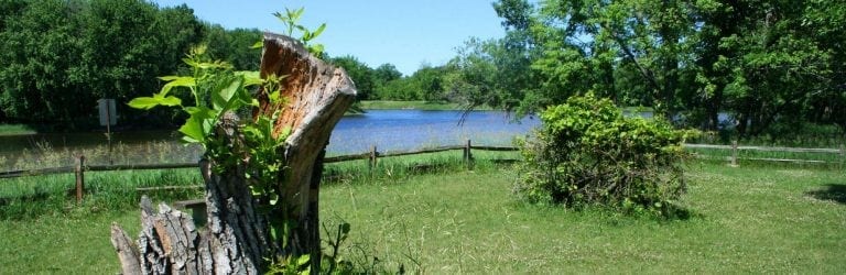 Visit the Crow Wing State Park - Historic Walking Trails - River Access