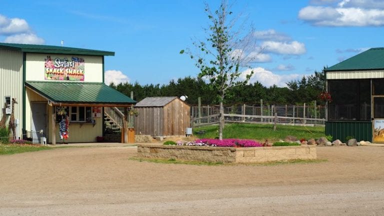Safari North Zoo Brings You Up Close and Personal with Local Wildlife