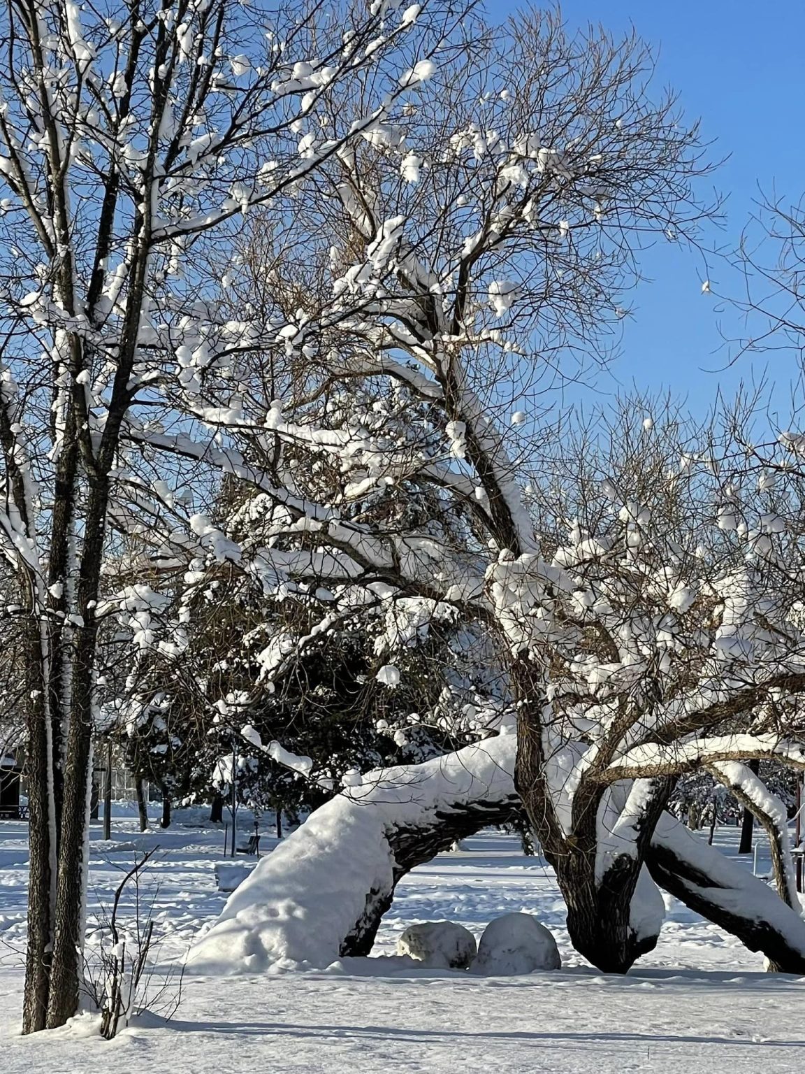 Snow Conditions Brainerd MN - Snow Report - Local Weather - Snowmobile ...
